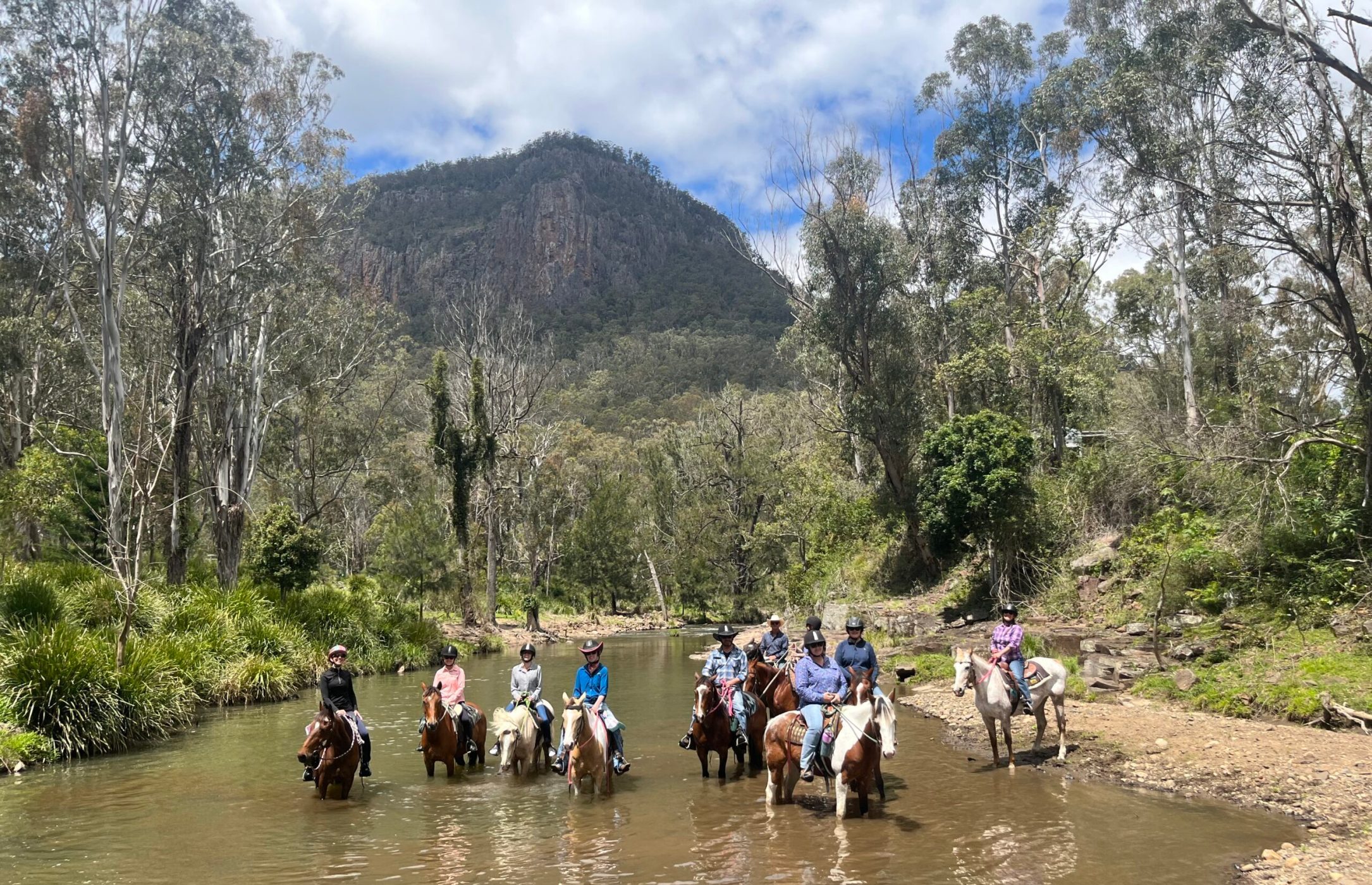 Nash Horse Trekking | Horse Riding Brisbane Queensland