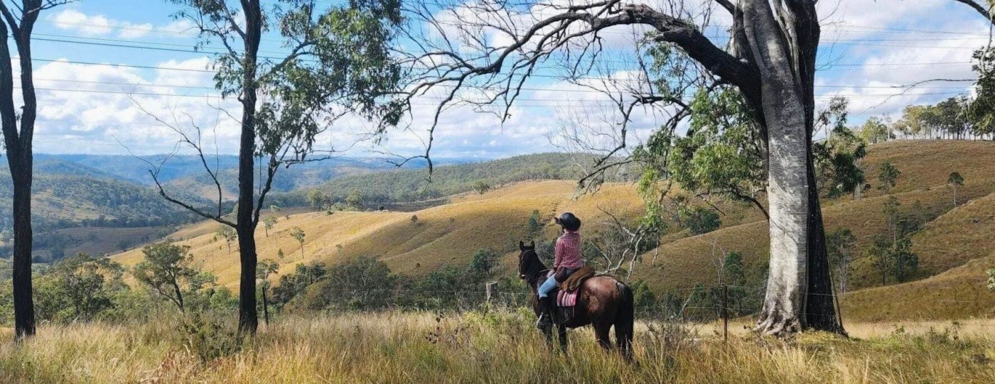 Linville Horse Riding Brisbane Queensland | Nash Horse Trekking
