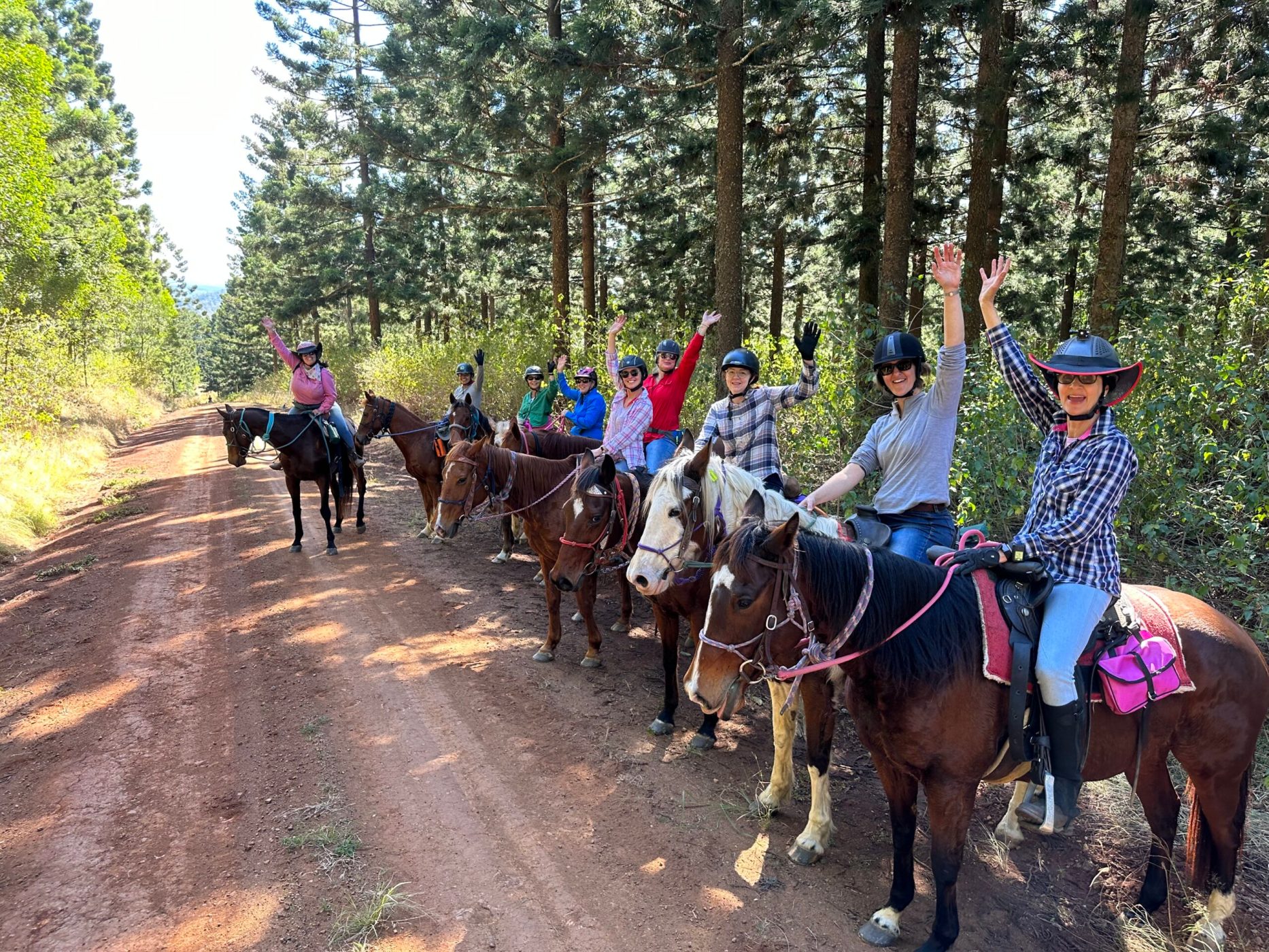 Horse Riding Trails Somerset Brisbane QLD | Nash Horse Trekking