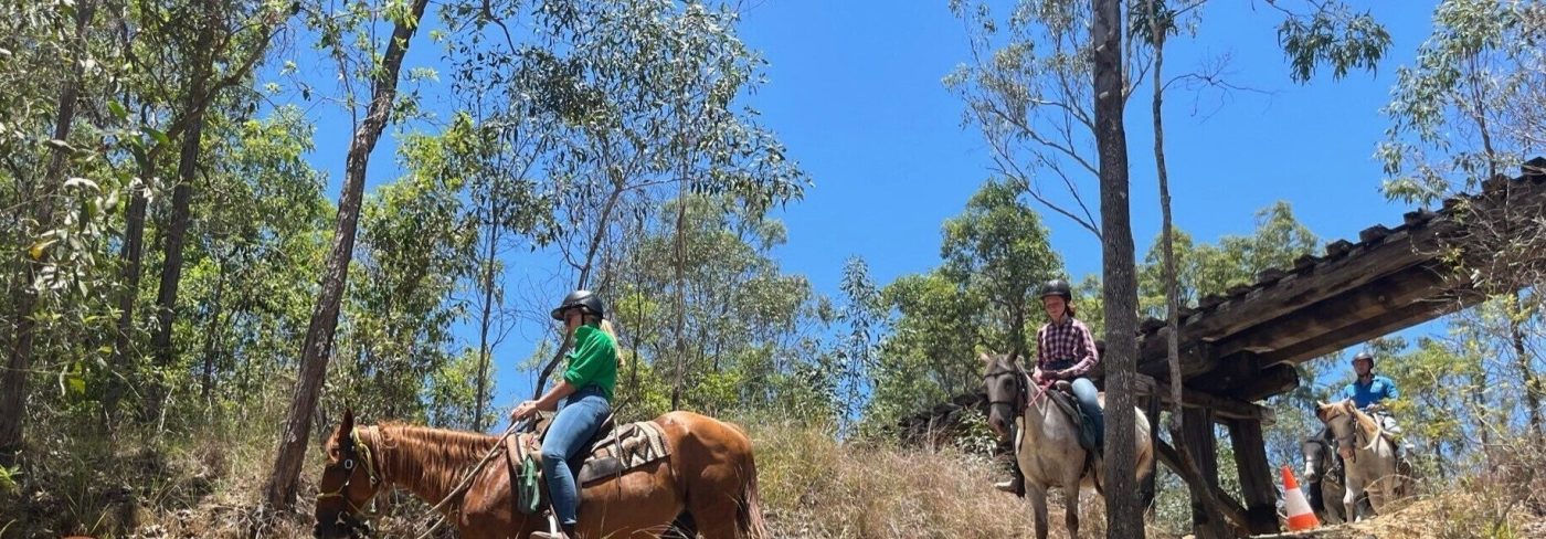 Horse Trail Riding Brisbane Queensland | Nash Horse Trekking